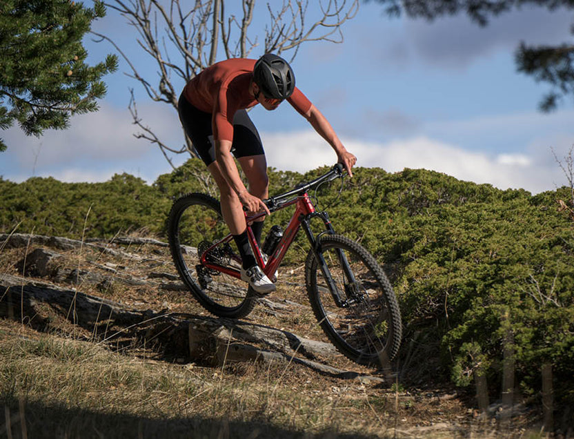 BMC Mountain Cross-Country Bikes | Twostroke 01 – BMC USA Corporation